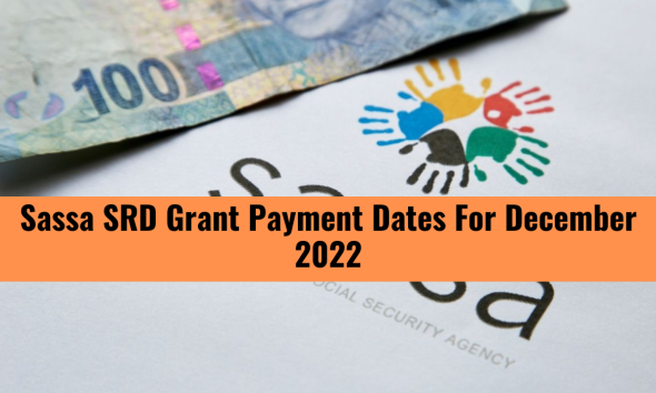 Sassa Status Check for SRD Application - SRD Status Check Online